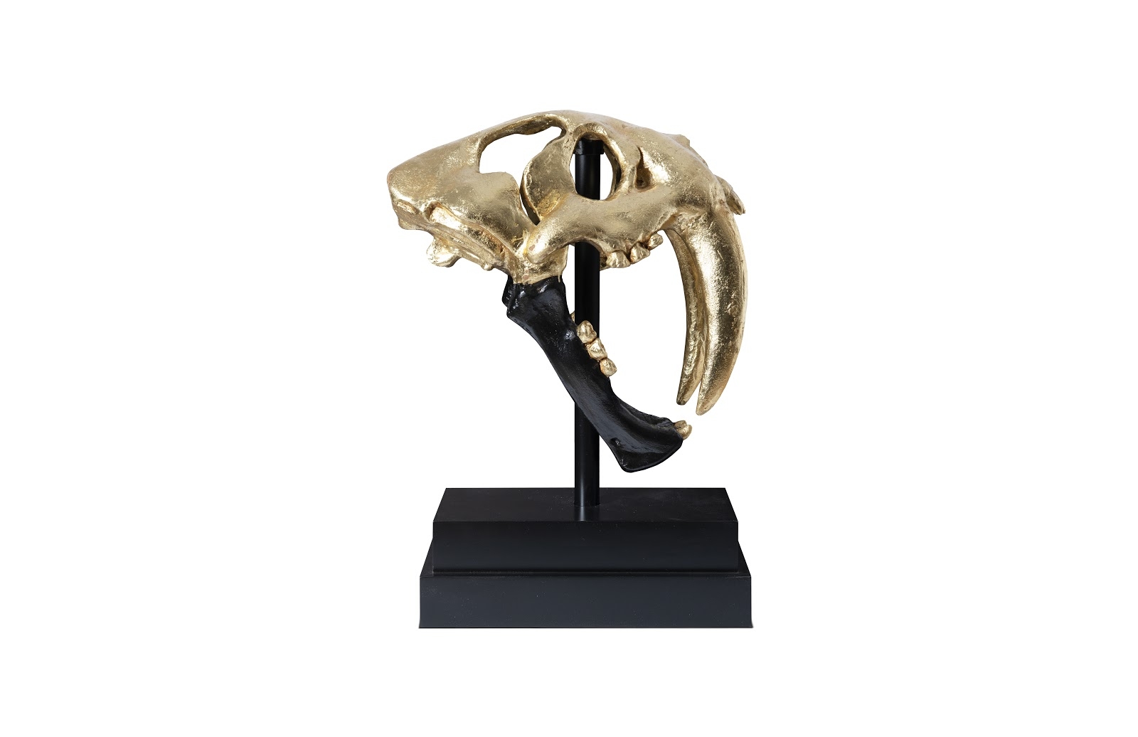 Скульптура Phillips Collection PH67580 Gold Saber Tooth Tiger Scull ...